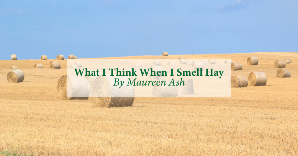 What I Think When I Smell Hay – Pierce County GRO